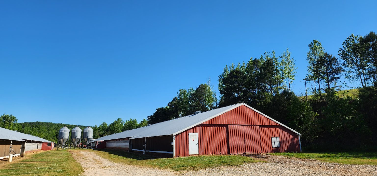England Broiler & Cattle Farm - Six House Farm in Clay County, AL ...