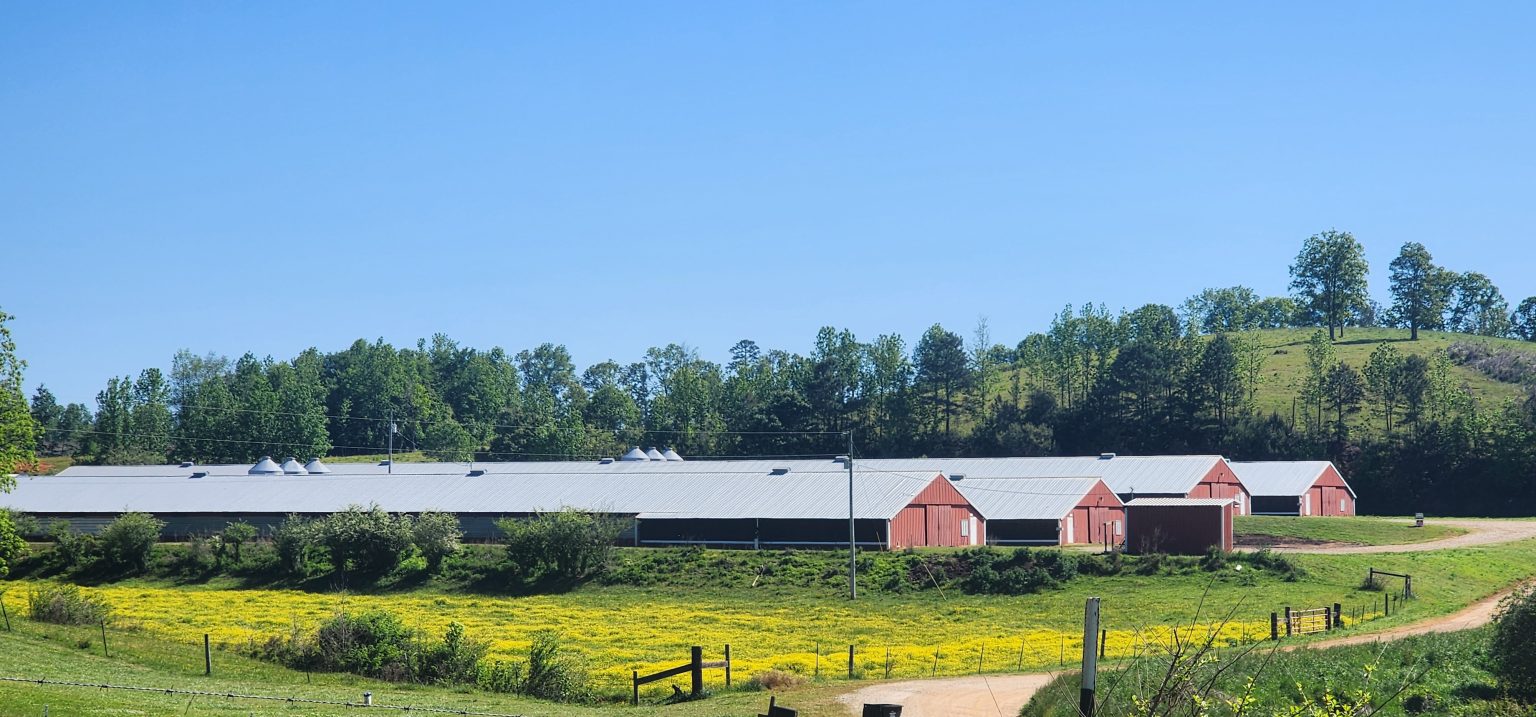 England Broiler & Cattle Farm - Six House Farm in Clay County, AL ...