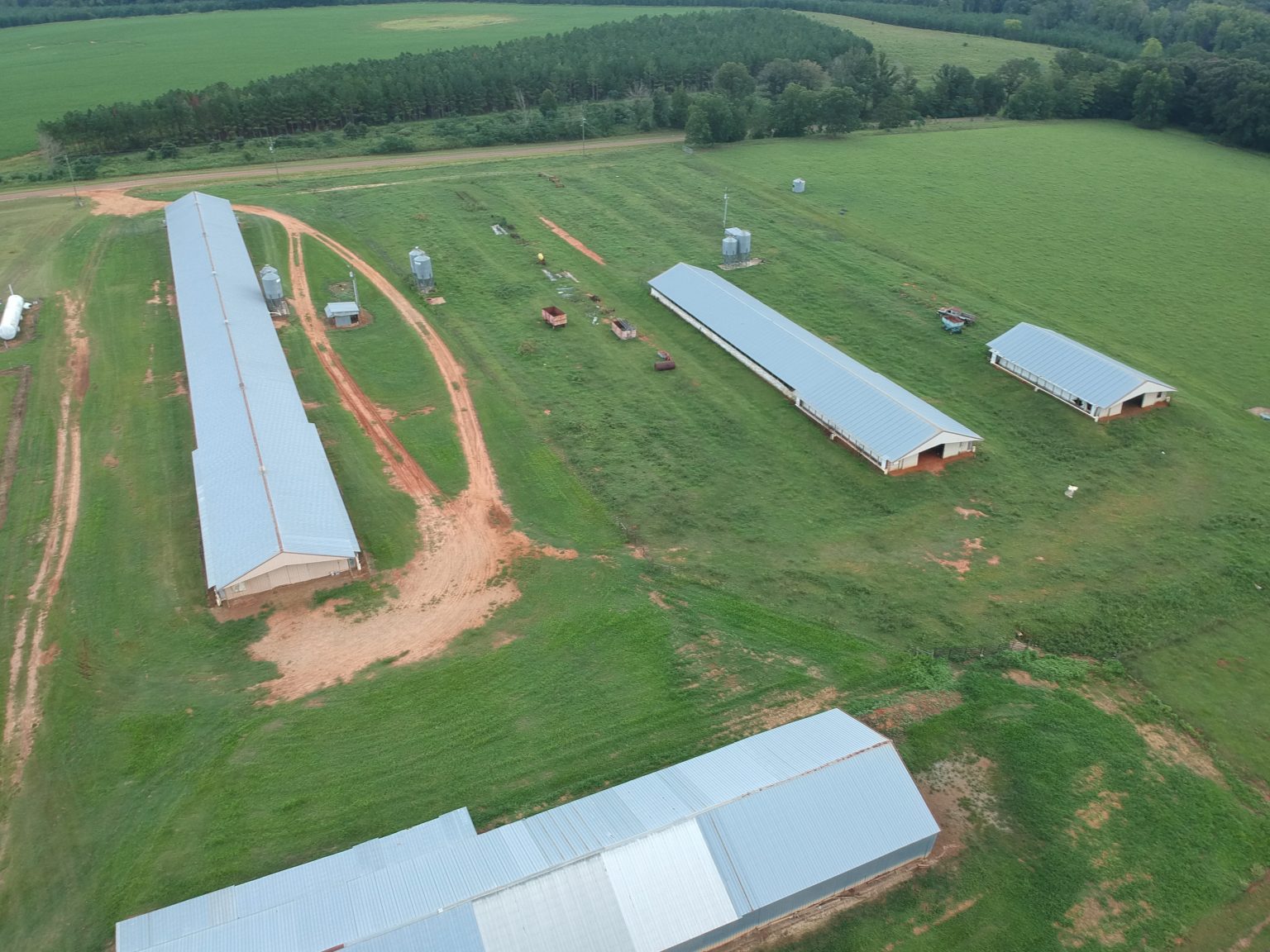 Silo Road Broiler and Cattle Farm - 60+/- Acre & Seven House Farm in ...