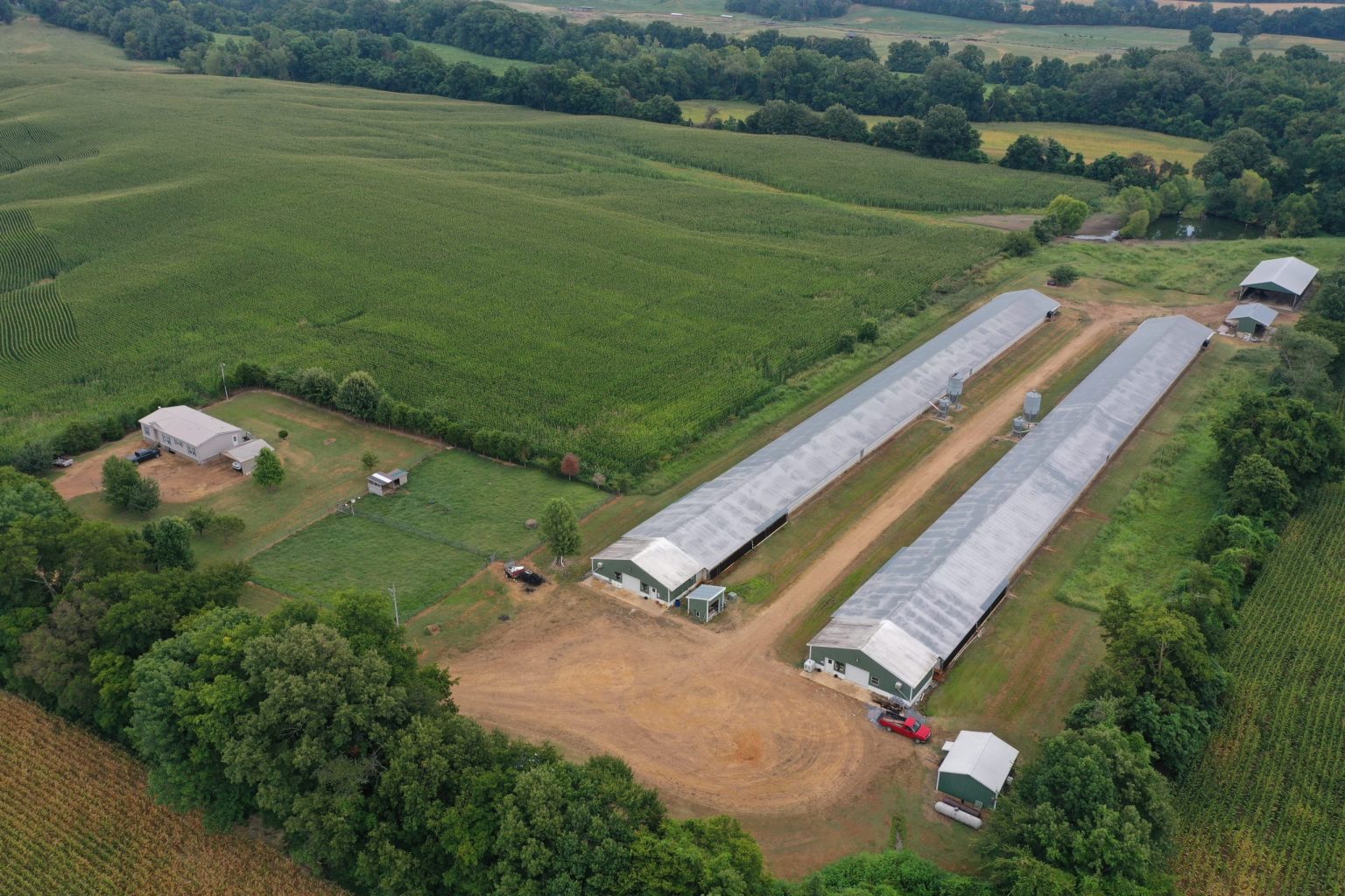 Nerdz Breeder Farm - Two House Farm in Troy, TN - PoultrySouth
