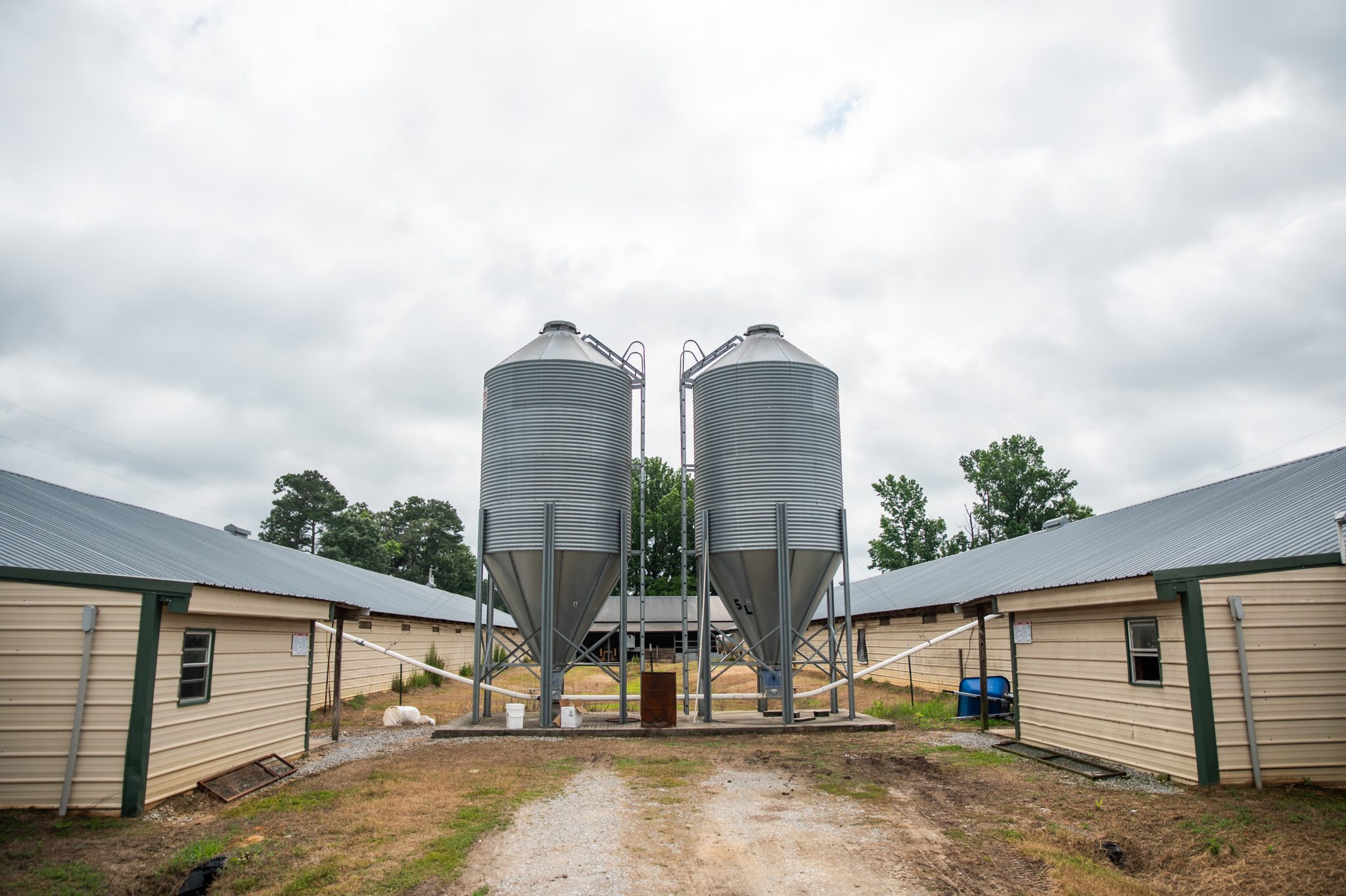 CV Broiler Farm - Six House Farm in Cullman County, AL - PoultrySouth