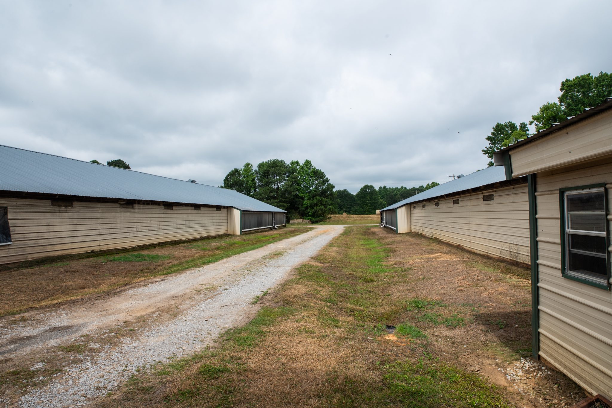 CV Broiler Farm - Six House Farm in Cullman County, AL - PoultrySouth
