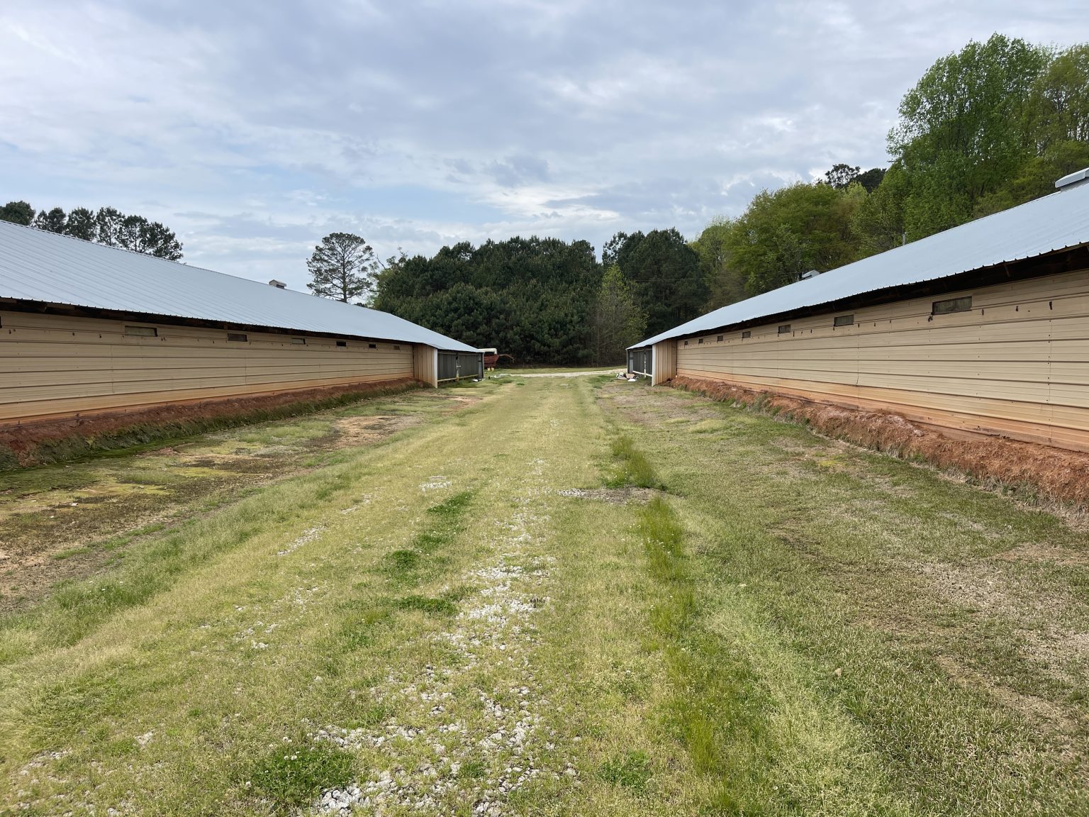 Ebenezer Broiler Farm - Four House Farm in Randolph County, AL ...