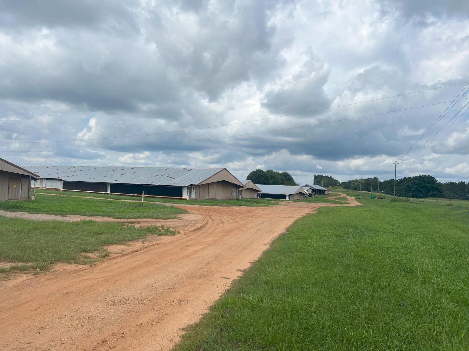 Silo Road Broiler and Cattle Farm - 60+/- Acre & Seven House Farm in ...