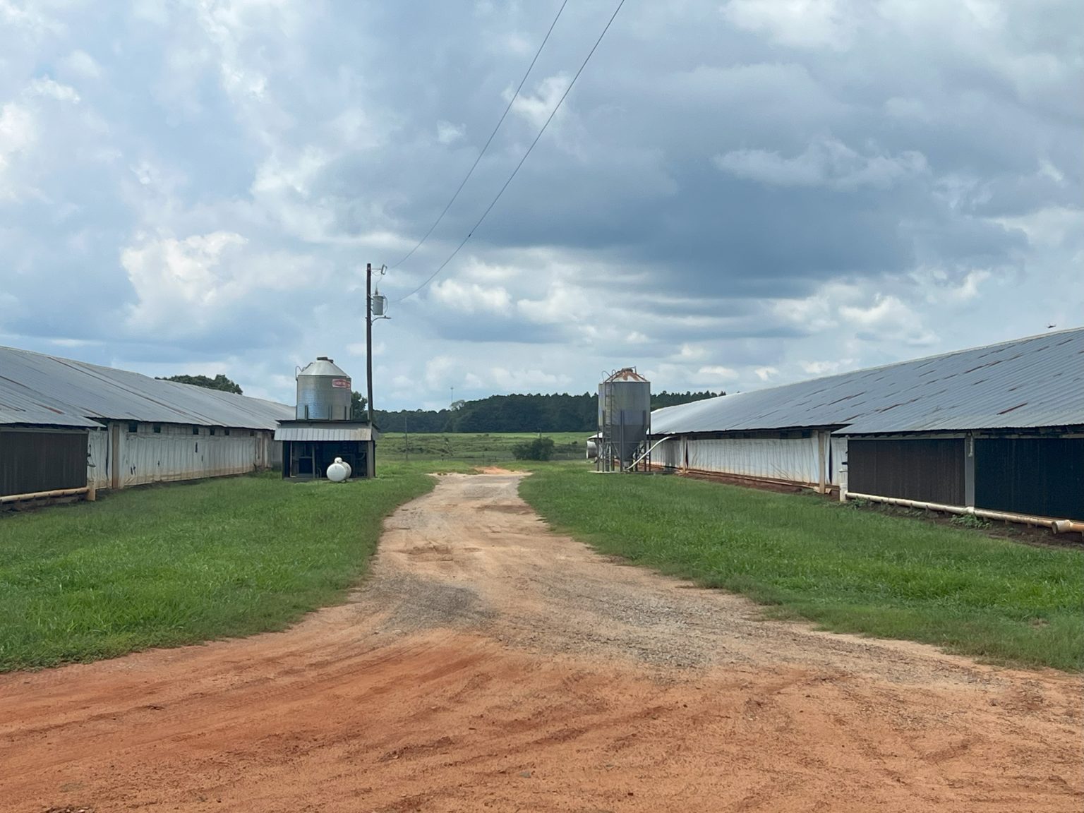 Silo Road Broiler and Cattle Farm - 60+/- Acre & Seven House Farm in ...