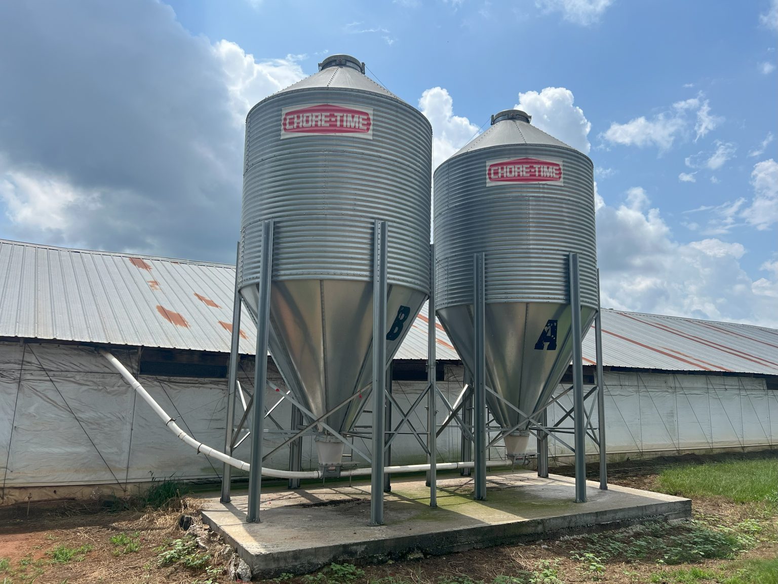 Silo Road Broiler and Cattle Farm - 60+/- Acre & Seven House Farm in ...
