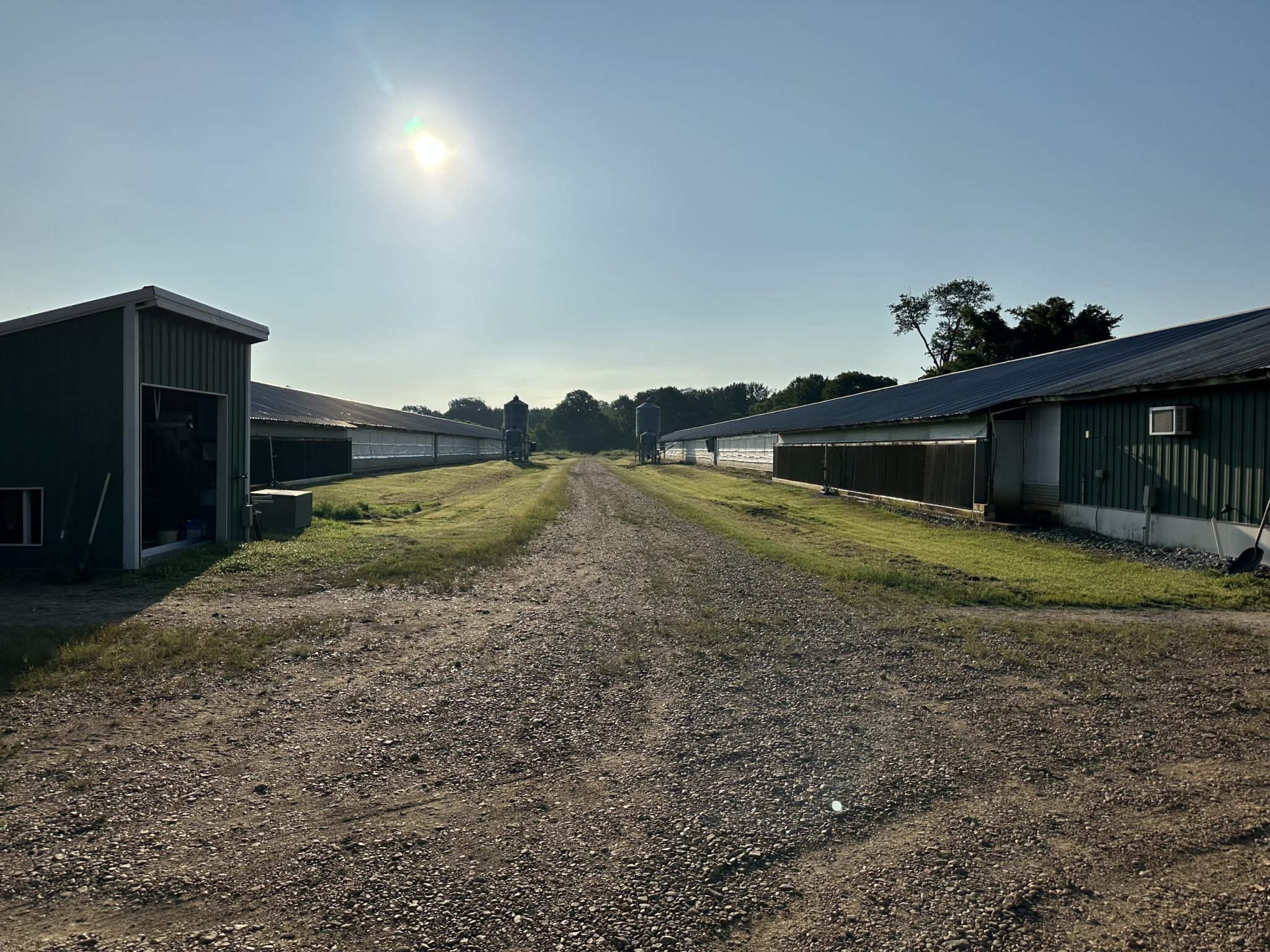 Nerdz Breeder Farm - Two House Farm in Troy, TN - PoultrySouth