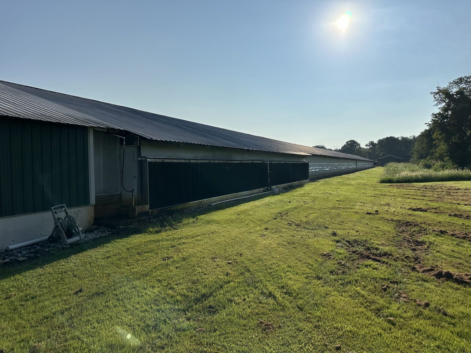 Nerdz Breeder Farm - Two House Farm in Troy, TN - PoultrySouth