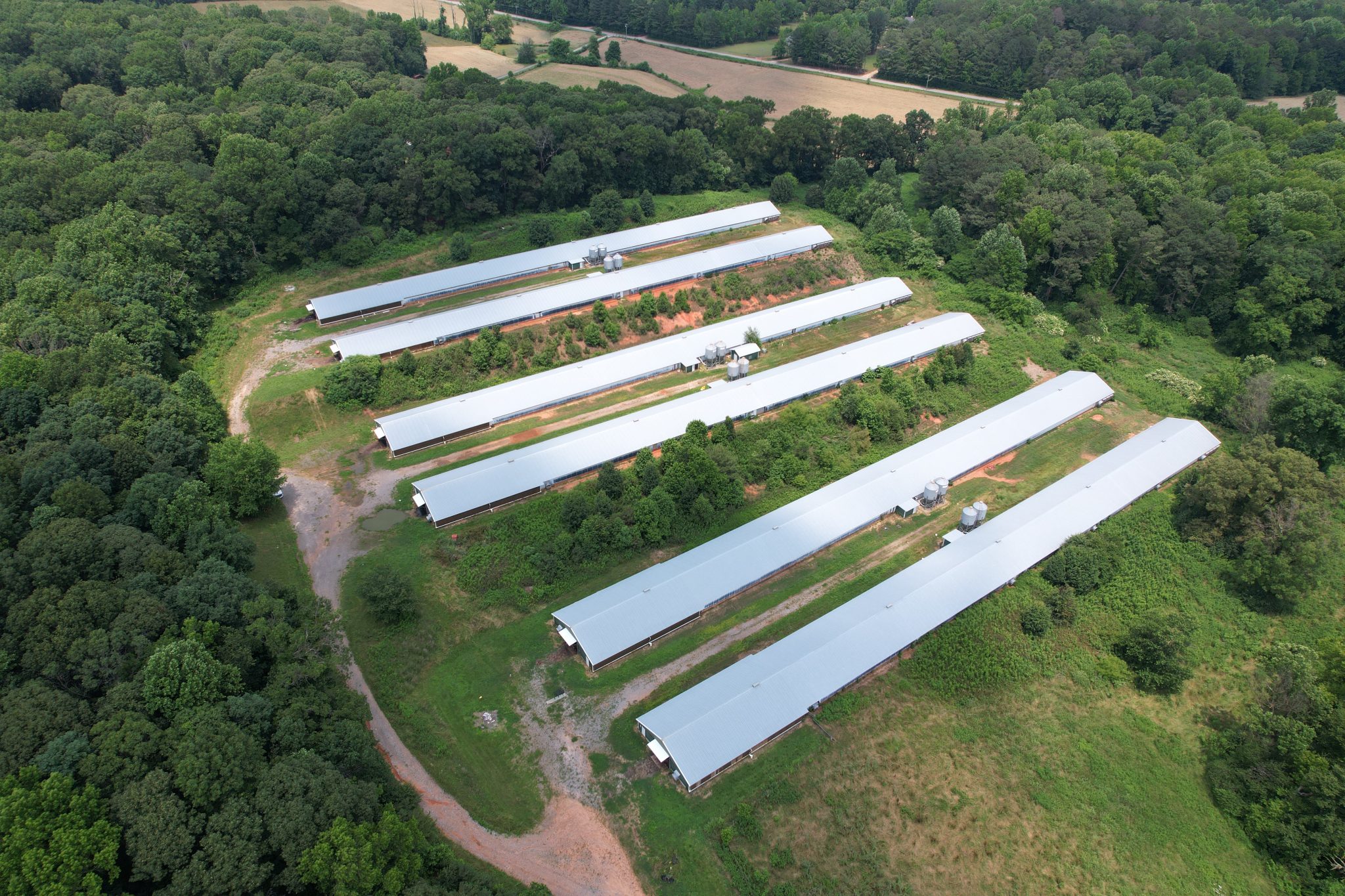 Styles Broiler Farm - Six House Farm in Dawson County, Georgia ...