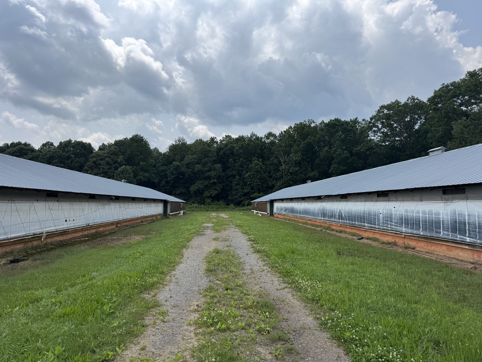 Styles Broiler Farm - Six House Farm in Dawson County, Georgia ...